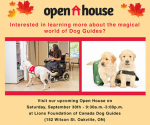 Help us unleash potential - Lions Foundation of Canada Dog Guides